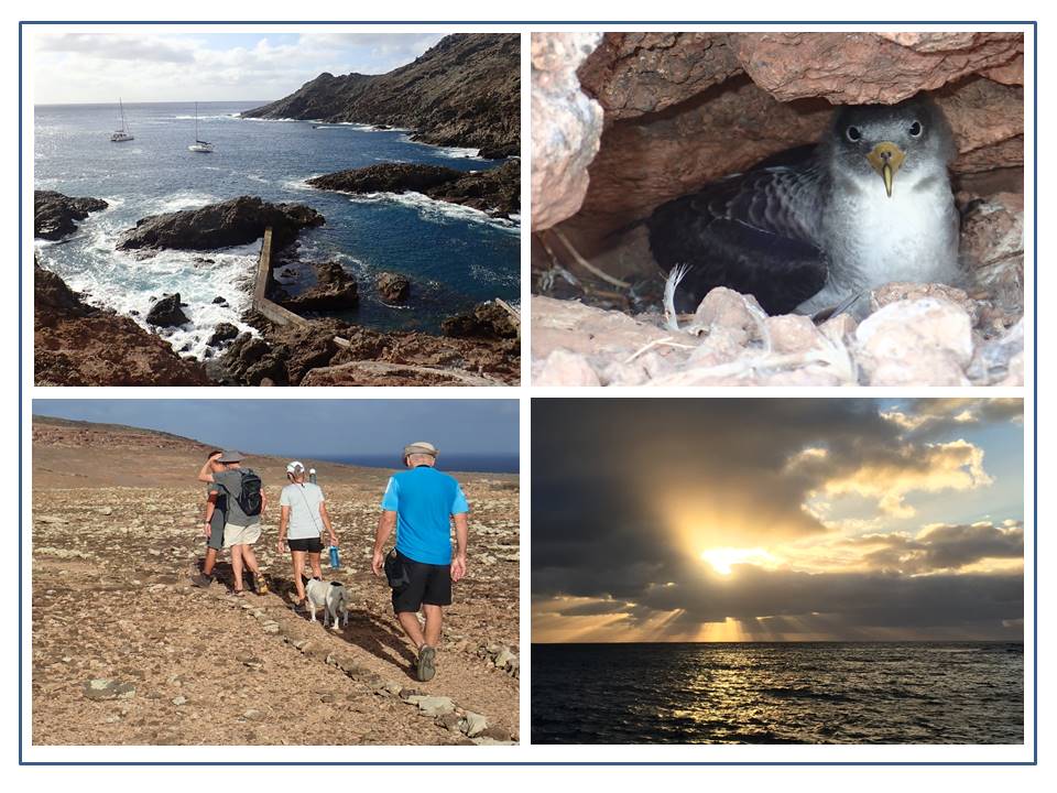 Postcards from A Caribbean Winter - Part 8, The Madeira Islands ...
